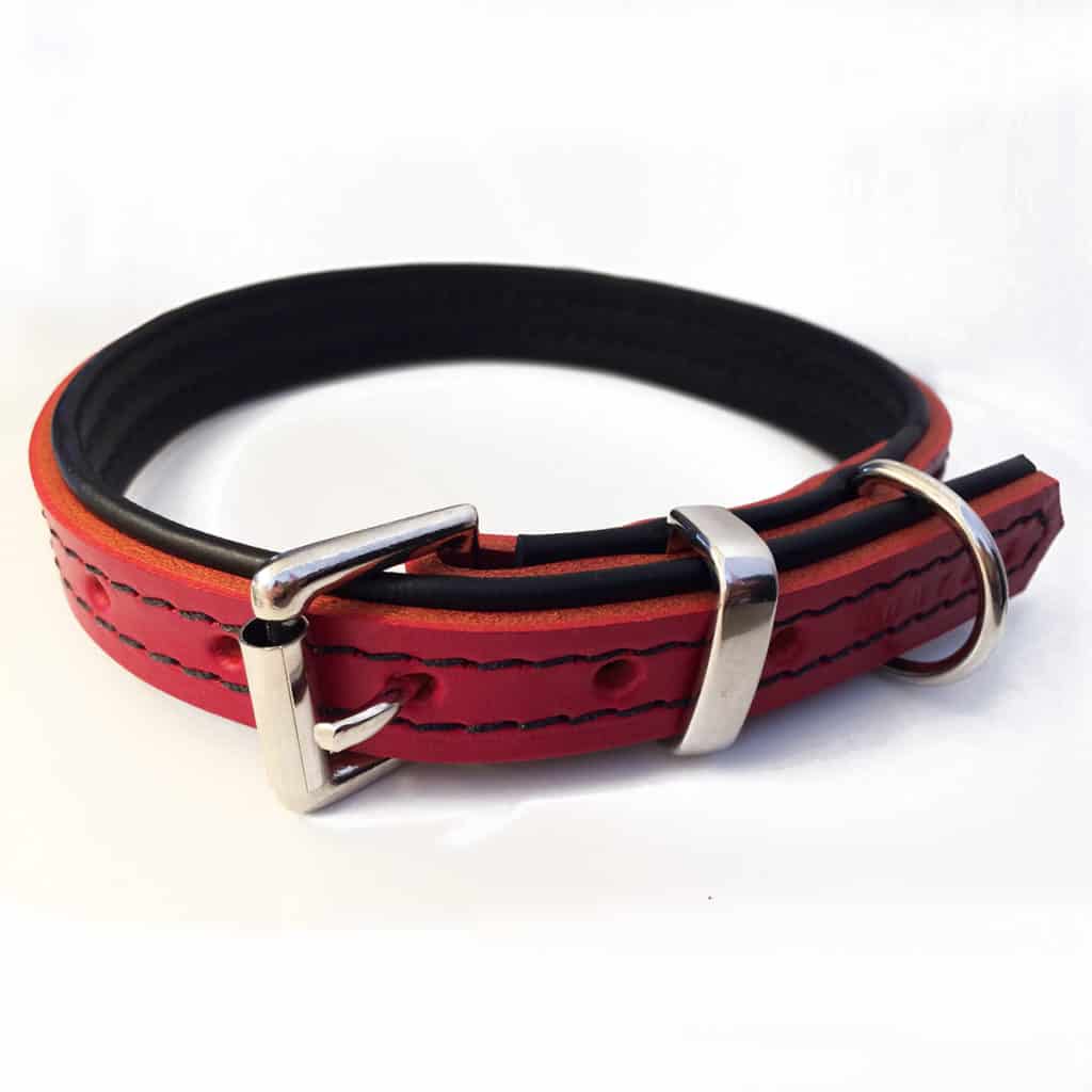 Luxury dog collars and dog beds | The Stylish Dog Company