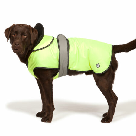 Luxury dog carriers bags | The Stylish Dog Company