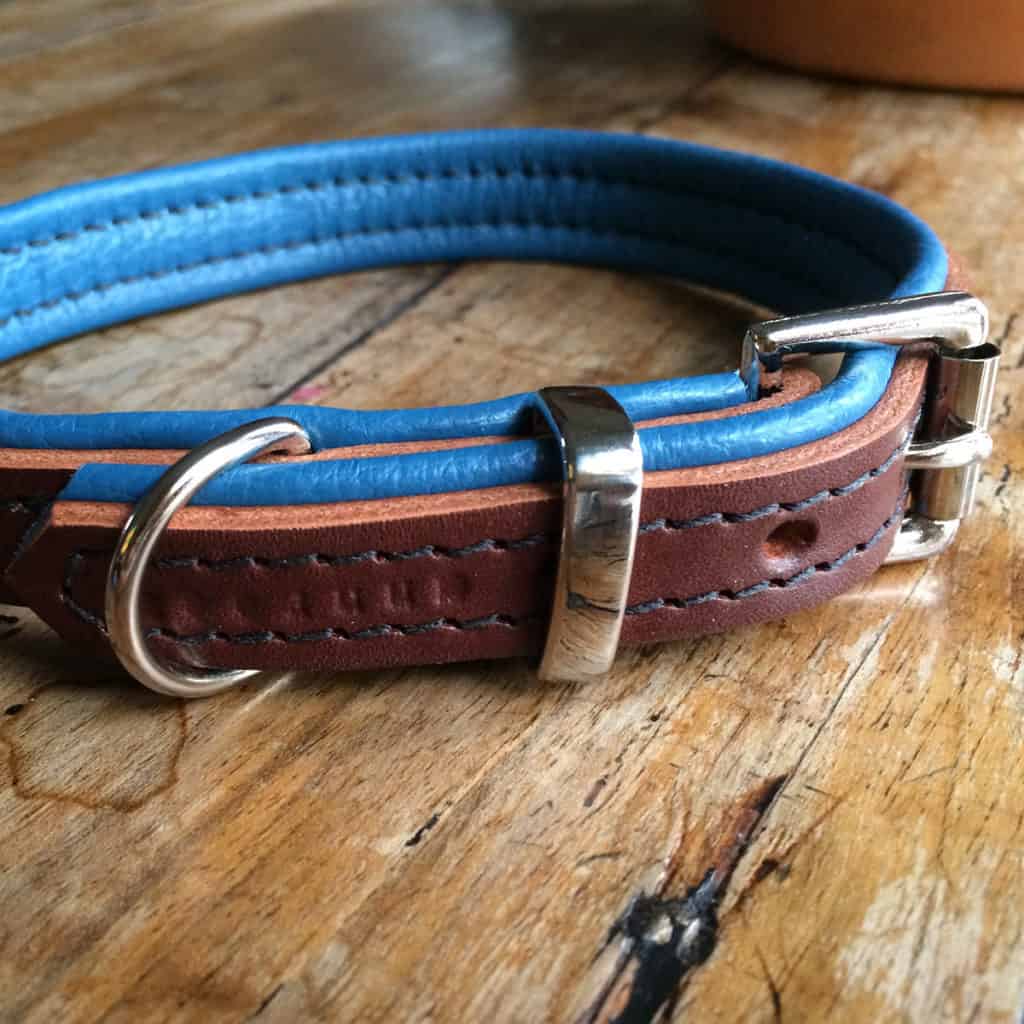 Luxury dog collars and dog beds | The Stylish Dog Company