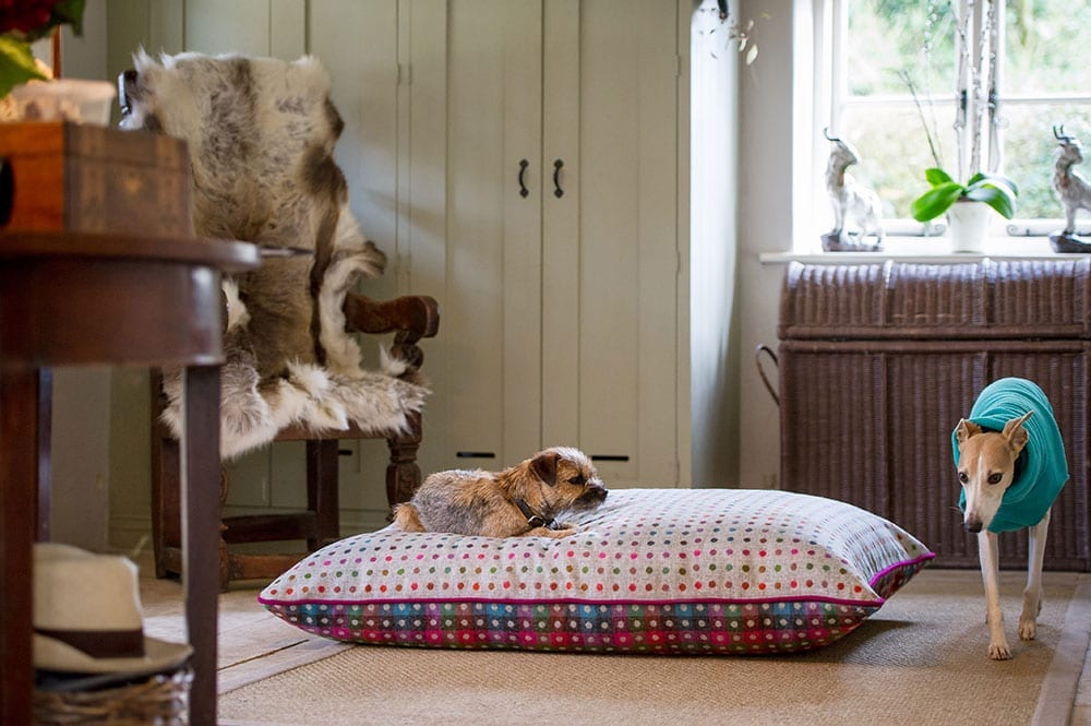 Luxury dog beds UK | Dog Cushions | The Stylish Dog Company