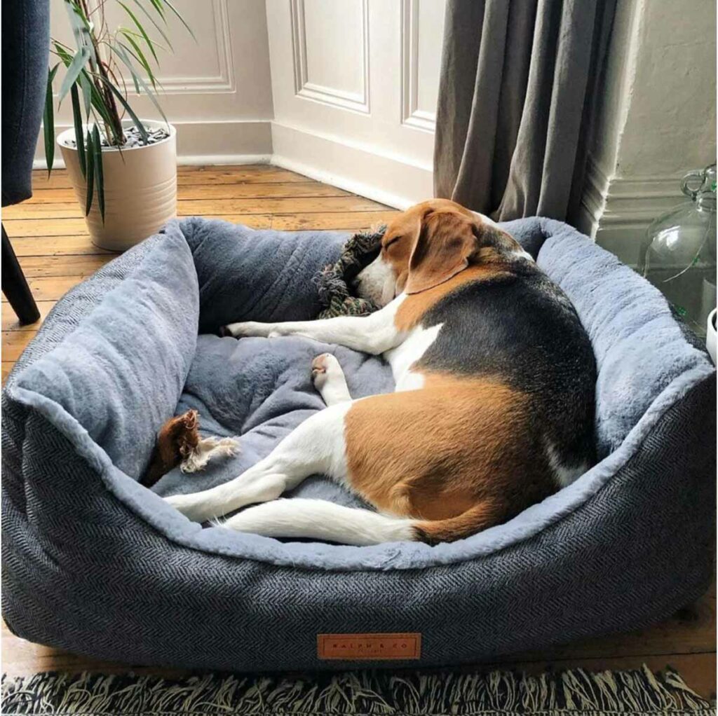 Grey herringbone bolster dog bed | Balmoral - The Stylish Dog Company