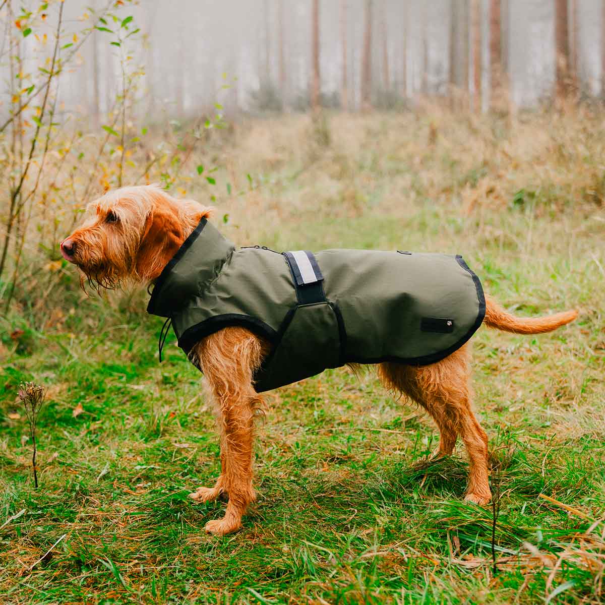 3 in 1 Dog Coats by Danish Design- All seasons dog coats - The Stylish ...